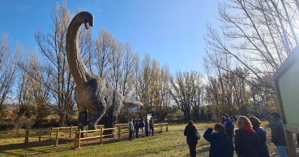 Paleoymás, consultoría y desarrollo cultural y medioambiental ...